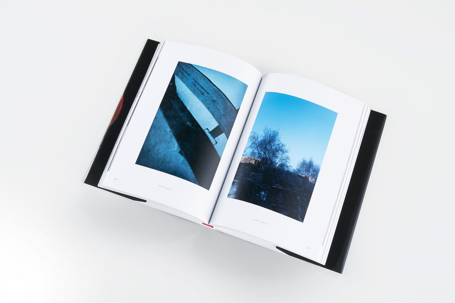 LEICA 野村誠一作品集 | 高品質デジタル印刷「NDP」サービスの紹介｜NISSHA