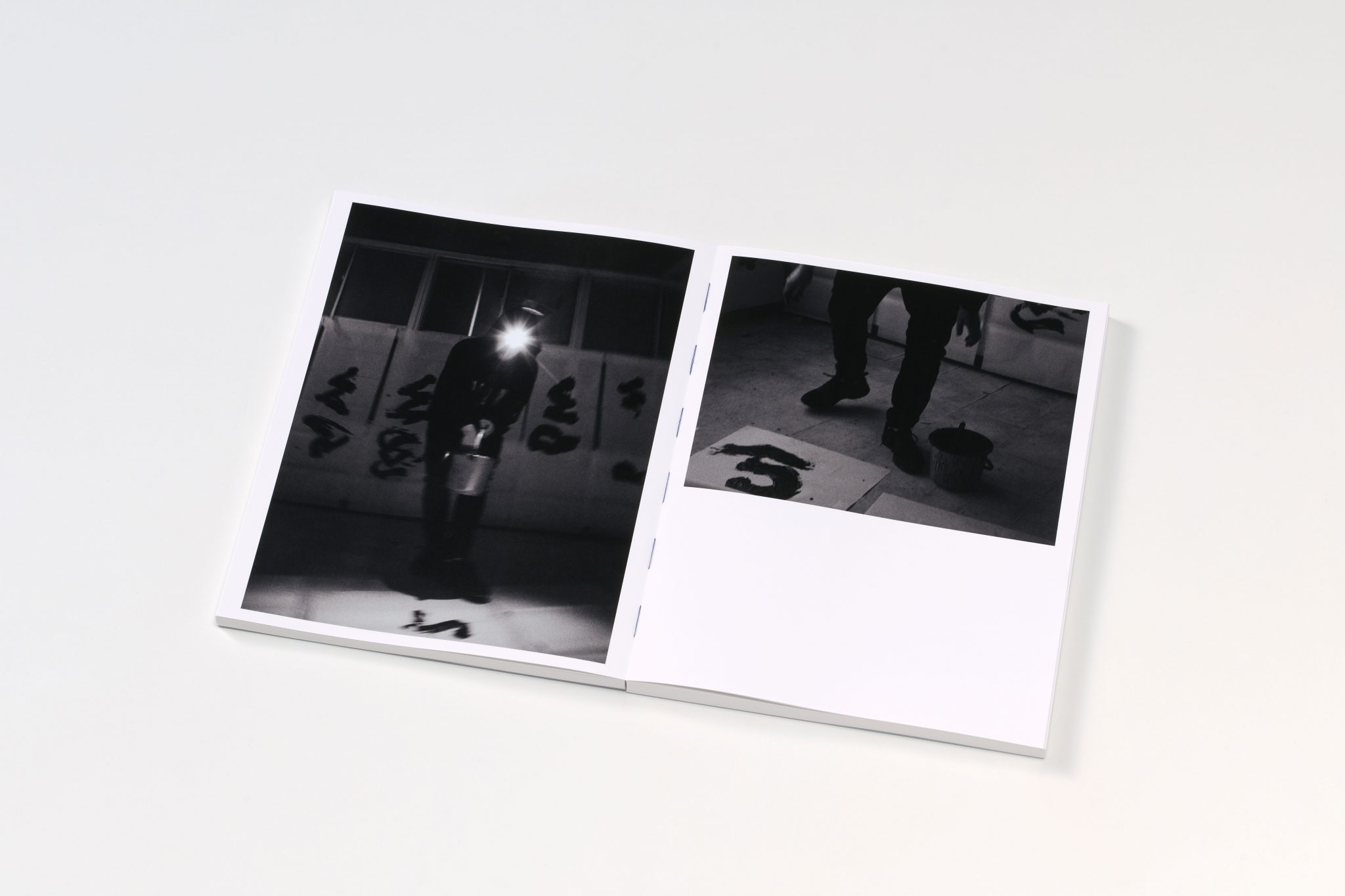 portfolio | 高品質デジタル印刷「NDP」サービスの紹介｜NISSHA