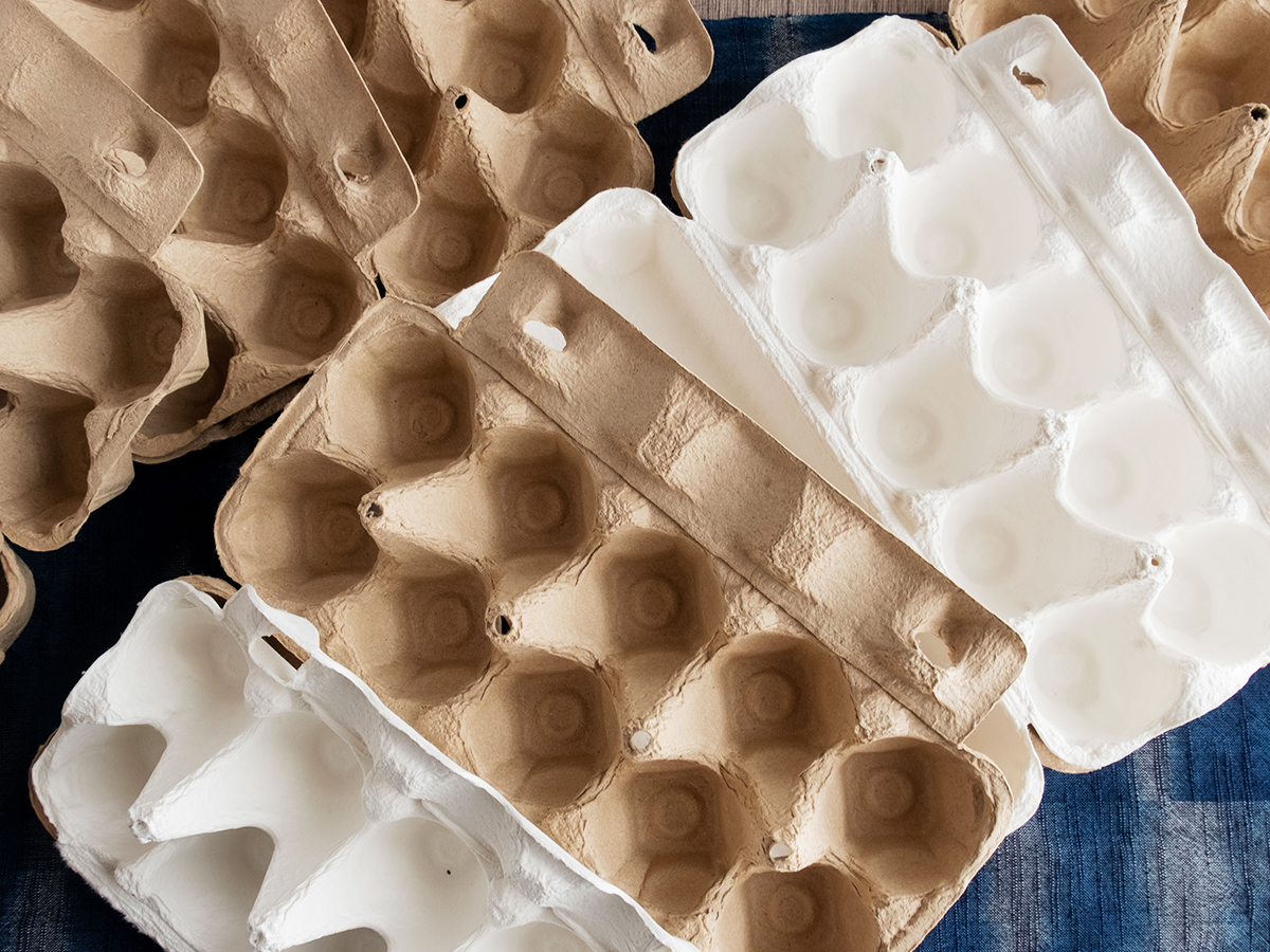 How to De-plasticize Trays Made by Vacuum Forming? Introducing Technologies to Achieve Reduced ...